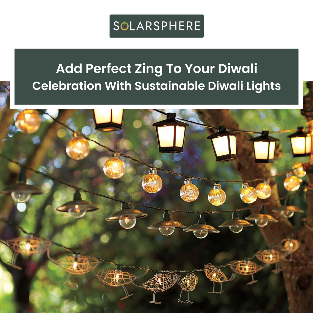 Add Perfect Zing To Celebration with Sustainable diwali lights